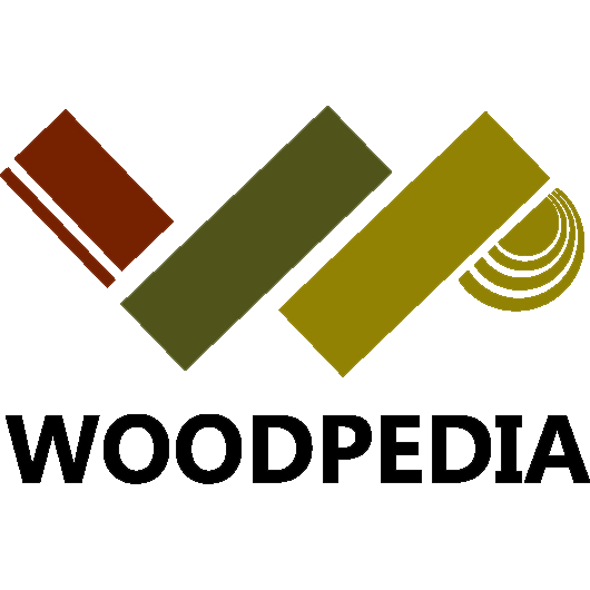 iWood木材智能识别系统